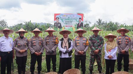 Dukung Swasembada Pangan 2025, Kapolres Lumajang Pimpin Panen Raya Jagung - Polres Pacitan